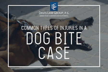 Common Types of Injuries in Dog Bite Cases | Davis Law Group Car ...